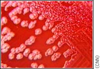 New Page 1 [sites.pitt.edu]